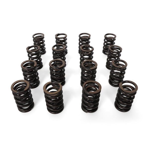 Valve Spring Set - Honda S2000 (F20C/F22C) - Blox Racing - BLOX Racing